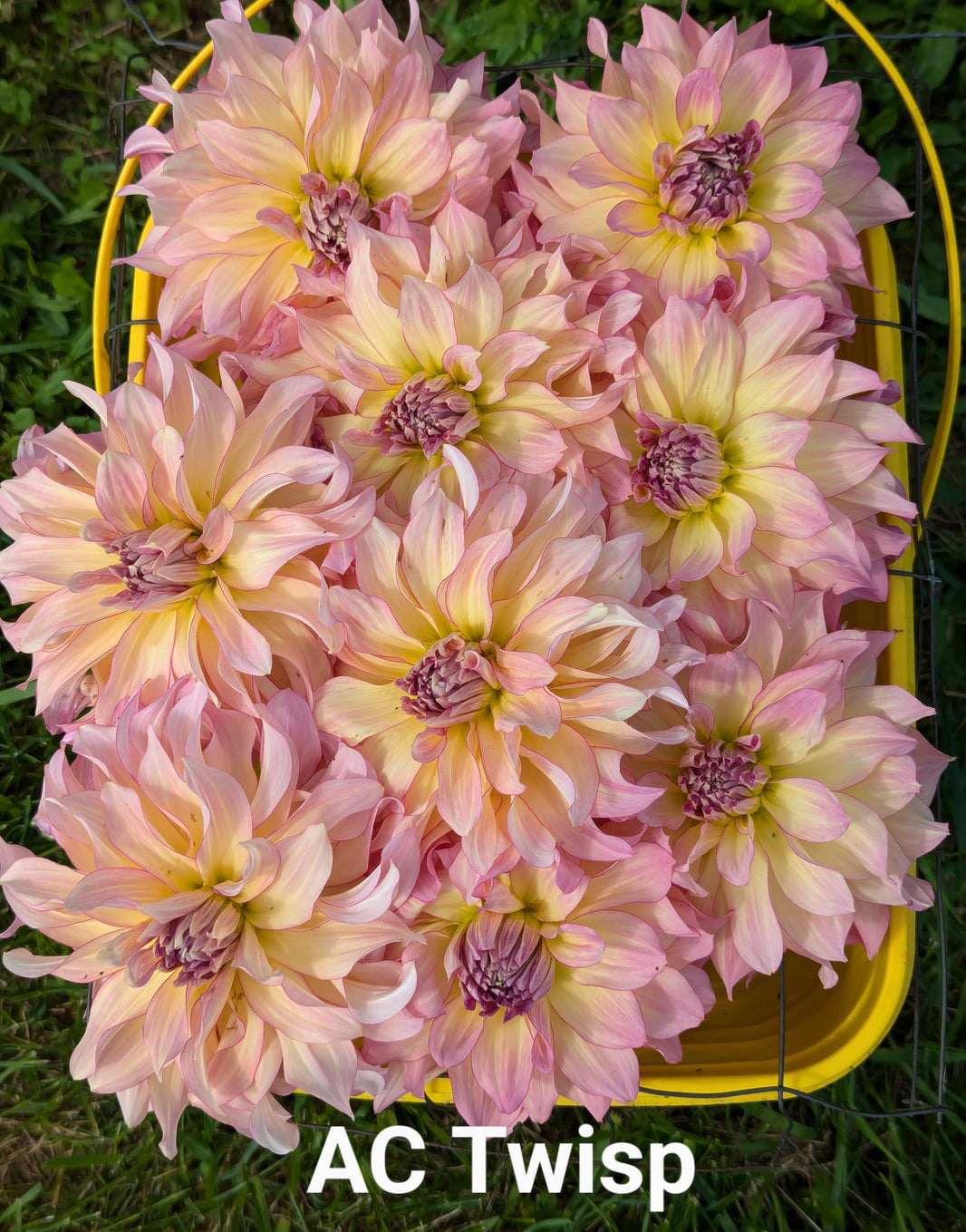 Products – White River Acres